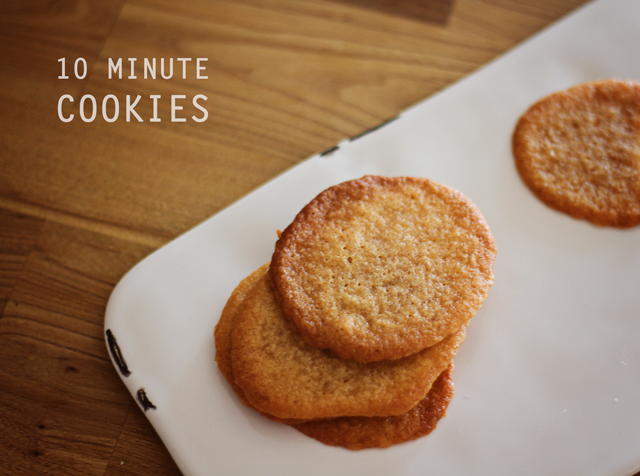 10 minute cookies: honey snaps - Fat Mum Slim