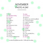 November Photo A Day Challenge: Let's get cracking! - Fat Mum Slim