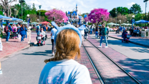 Disneyland Tips for First Timers | Disneyland Family Travel Tips
