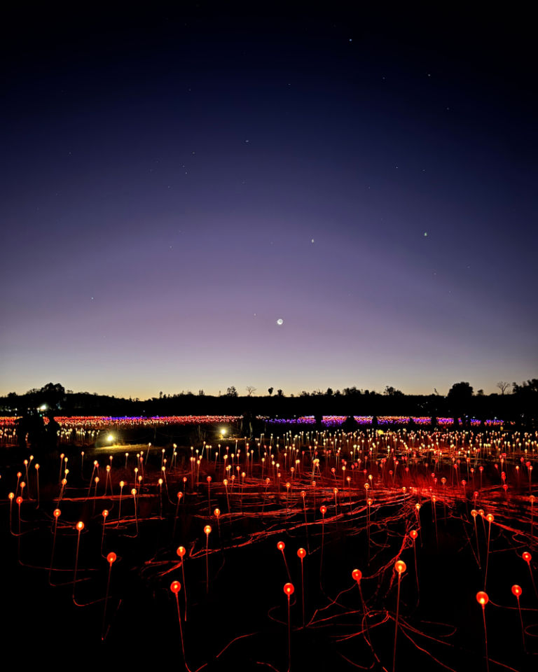 Field of Light Uluru: What to know before you go