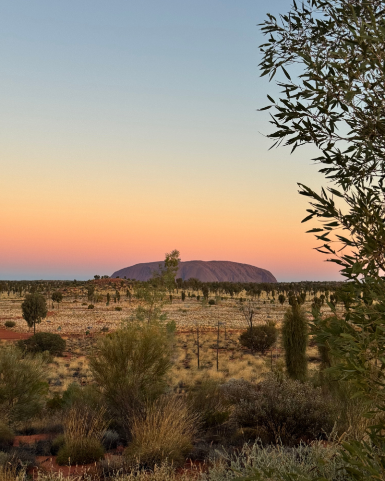 Field of Light Uluru: What to know before you go