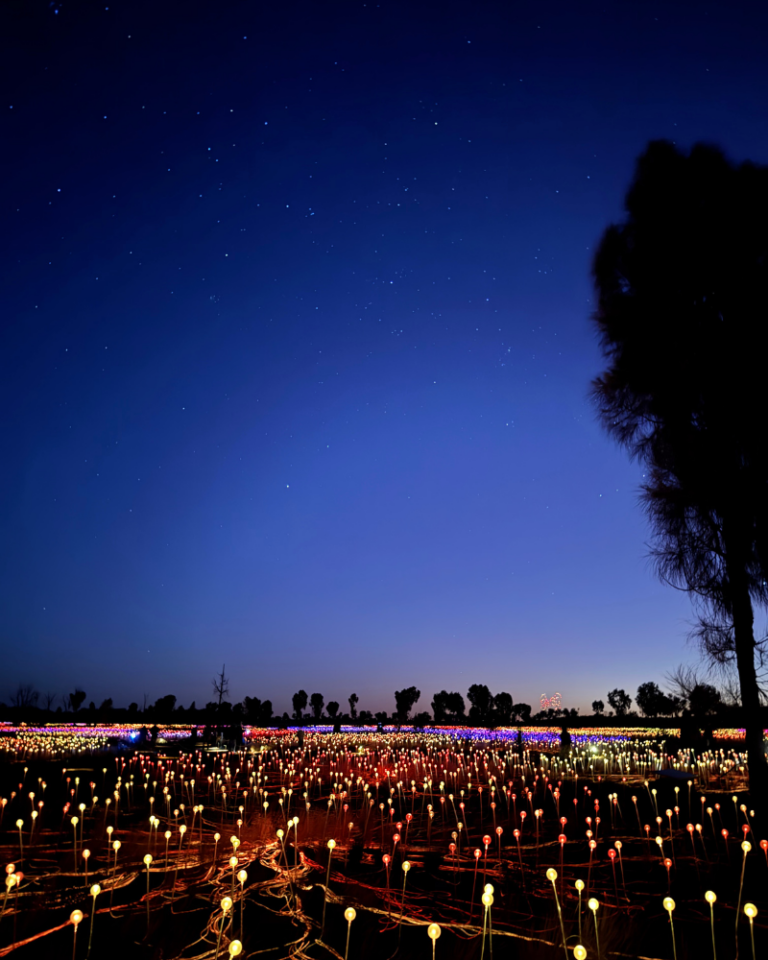 Field of Light Uluru: What to know before you go